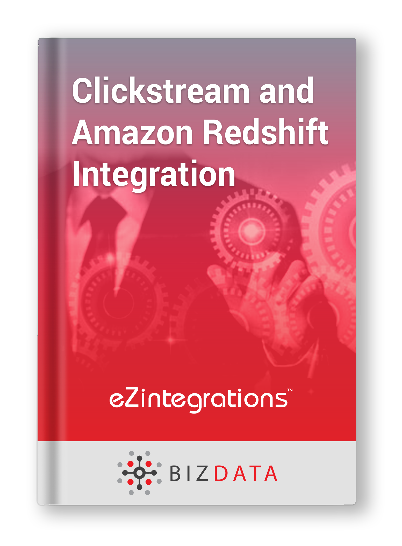 Bizdata Downloads