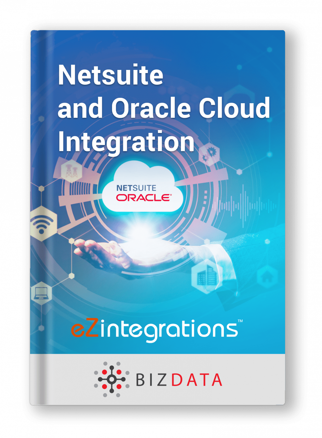 Bizdata Downloads