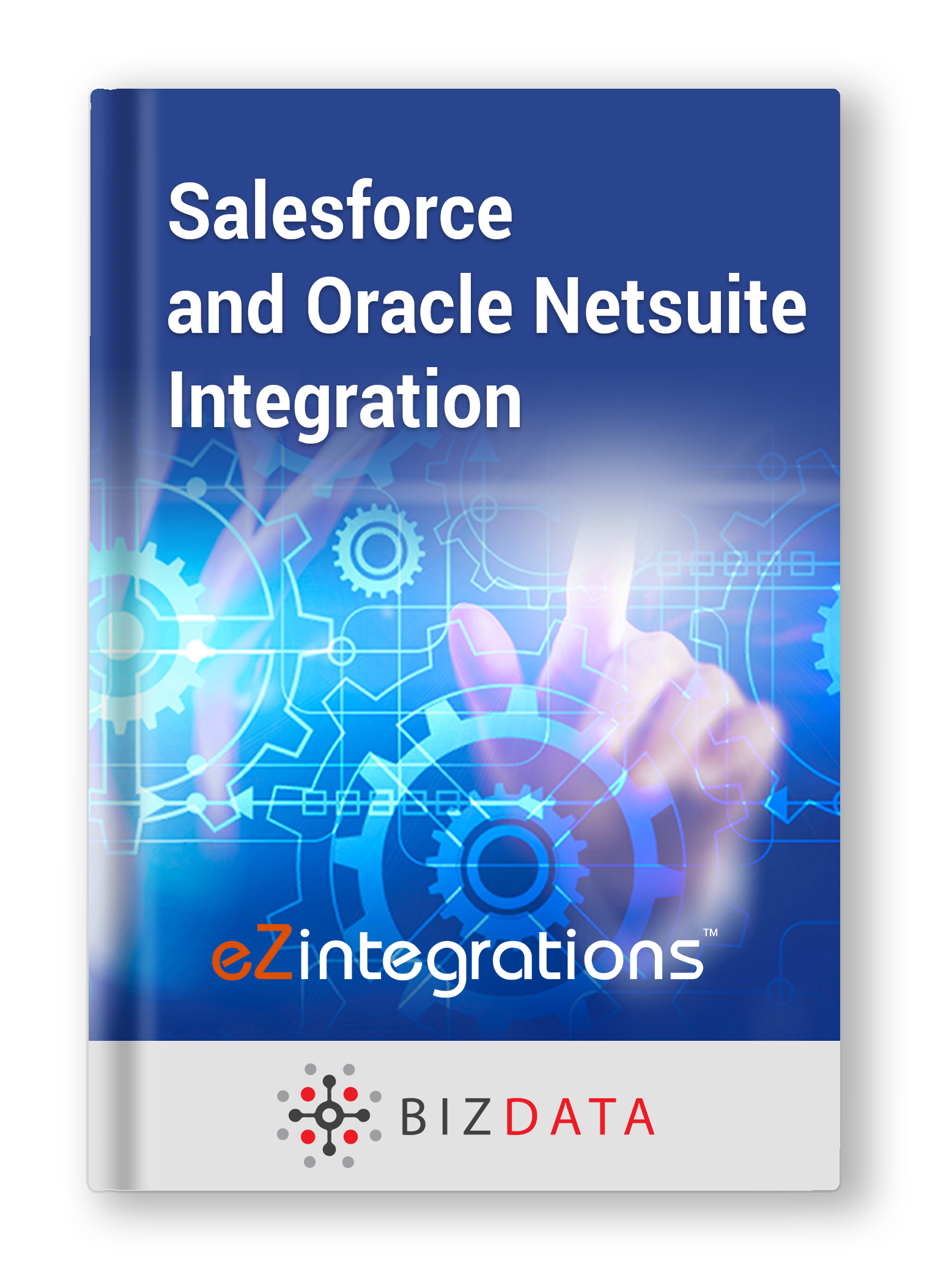 Bizdata Downloads