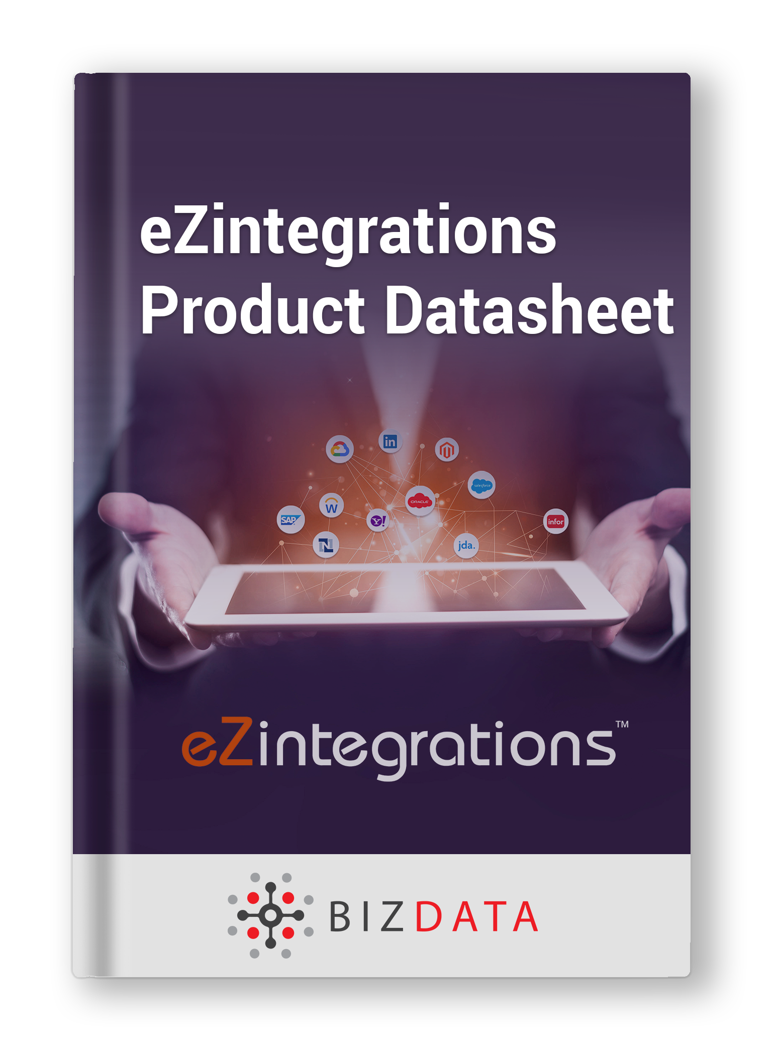 Bizdata Downloads