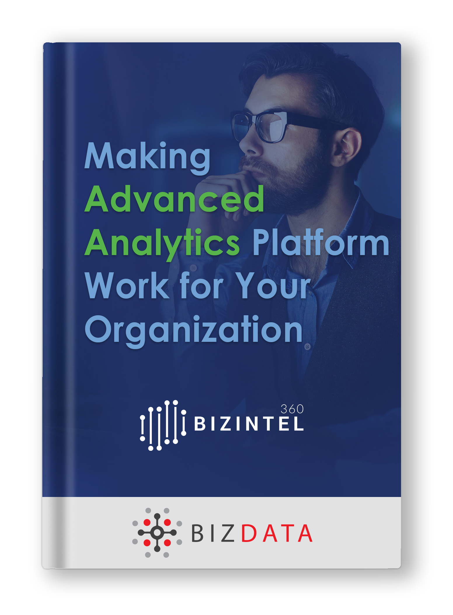 Bizdata Downloads