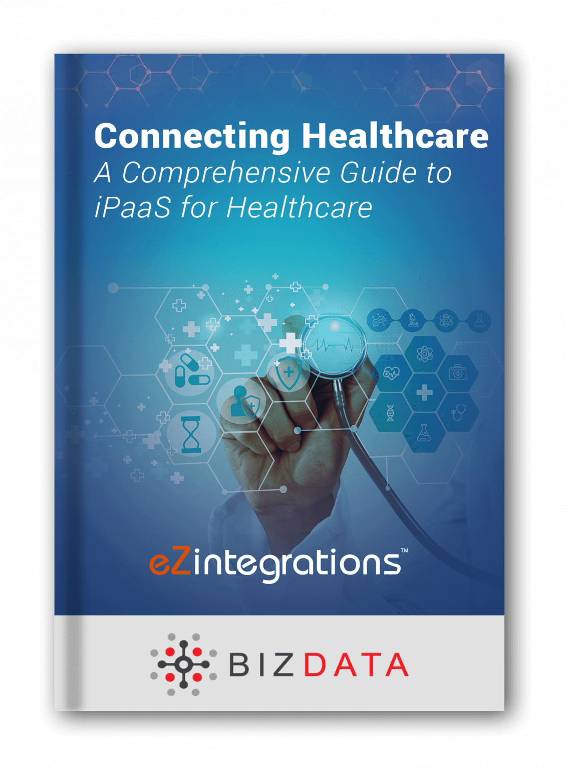 Bizdata Downloads