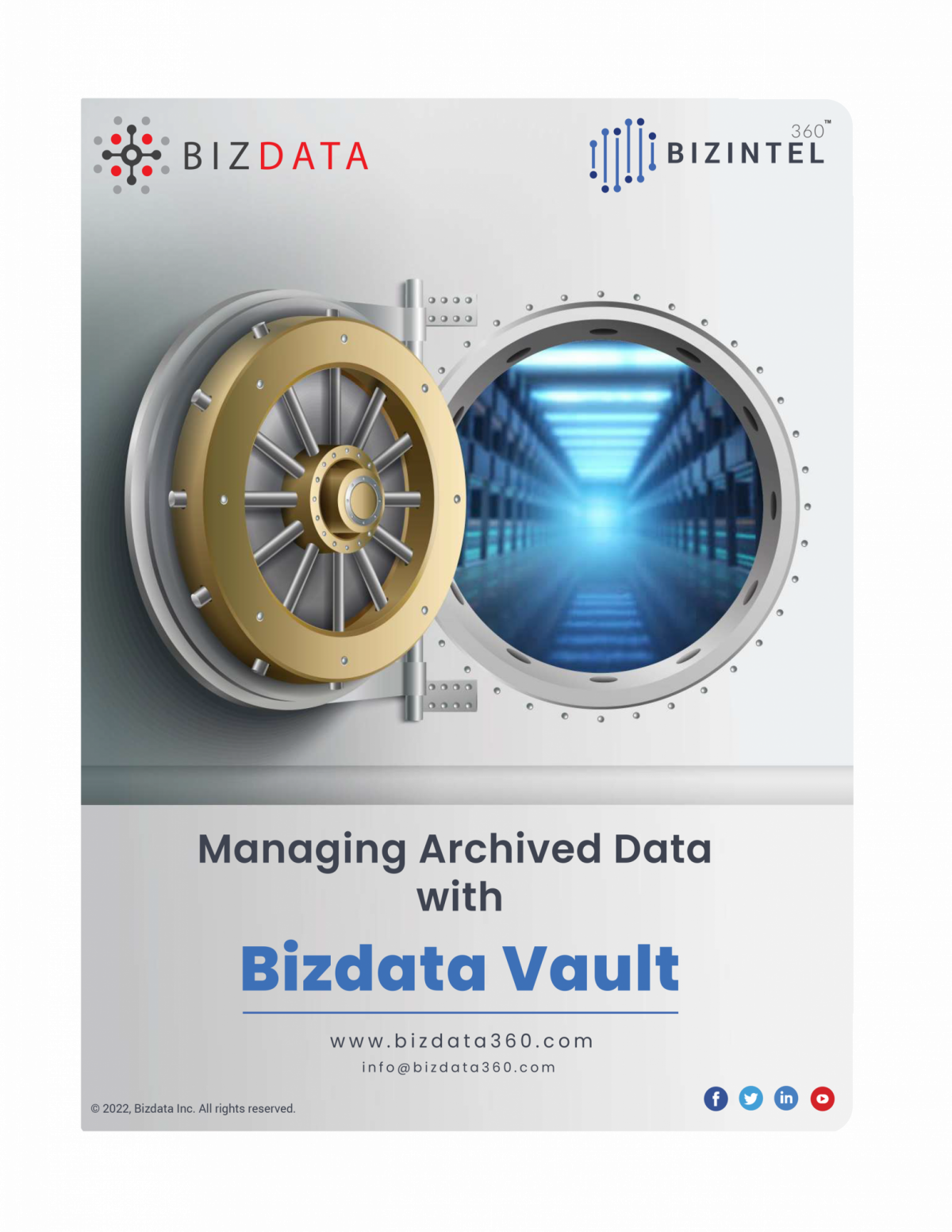 Managing Archived Data with Bizdata Vault - AI Enabled Data Integrations and Analytics